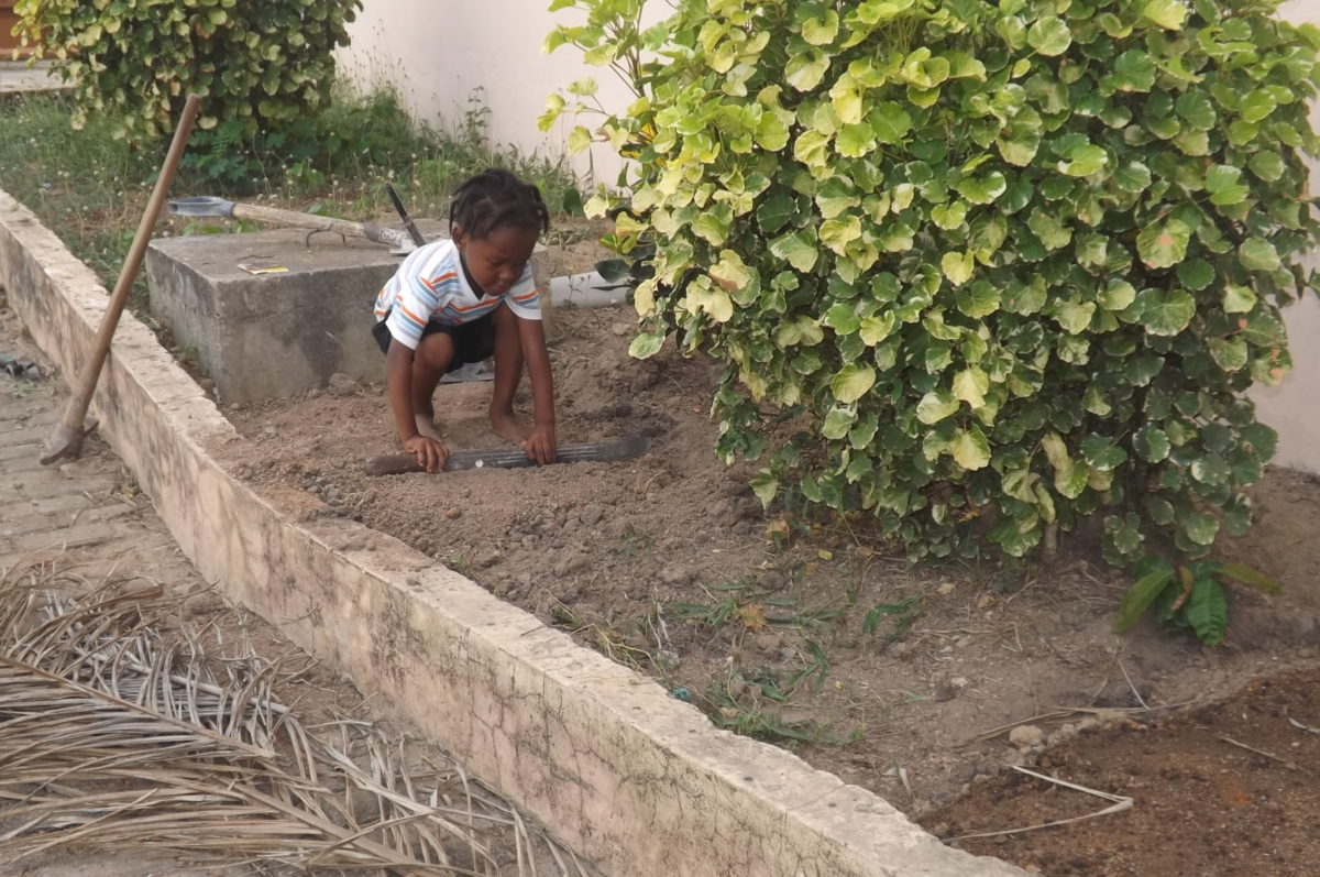 Gallery – The Carter Farms