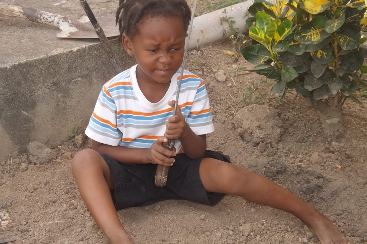 Gallery – The Carter Farms