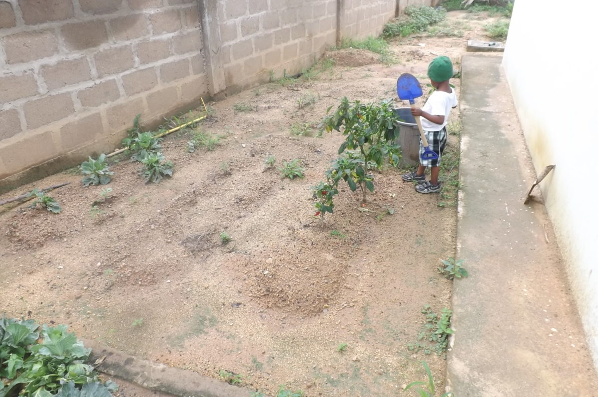 Gallery – The Carter Farms