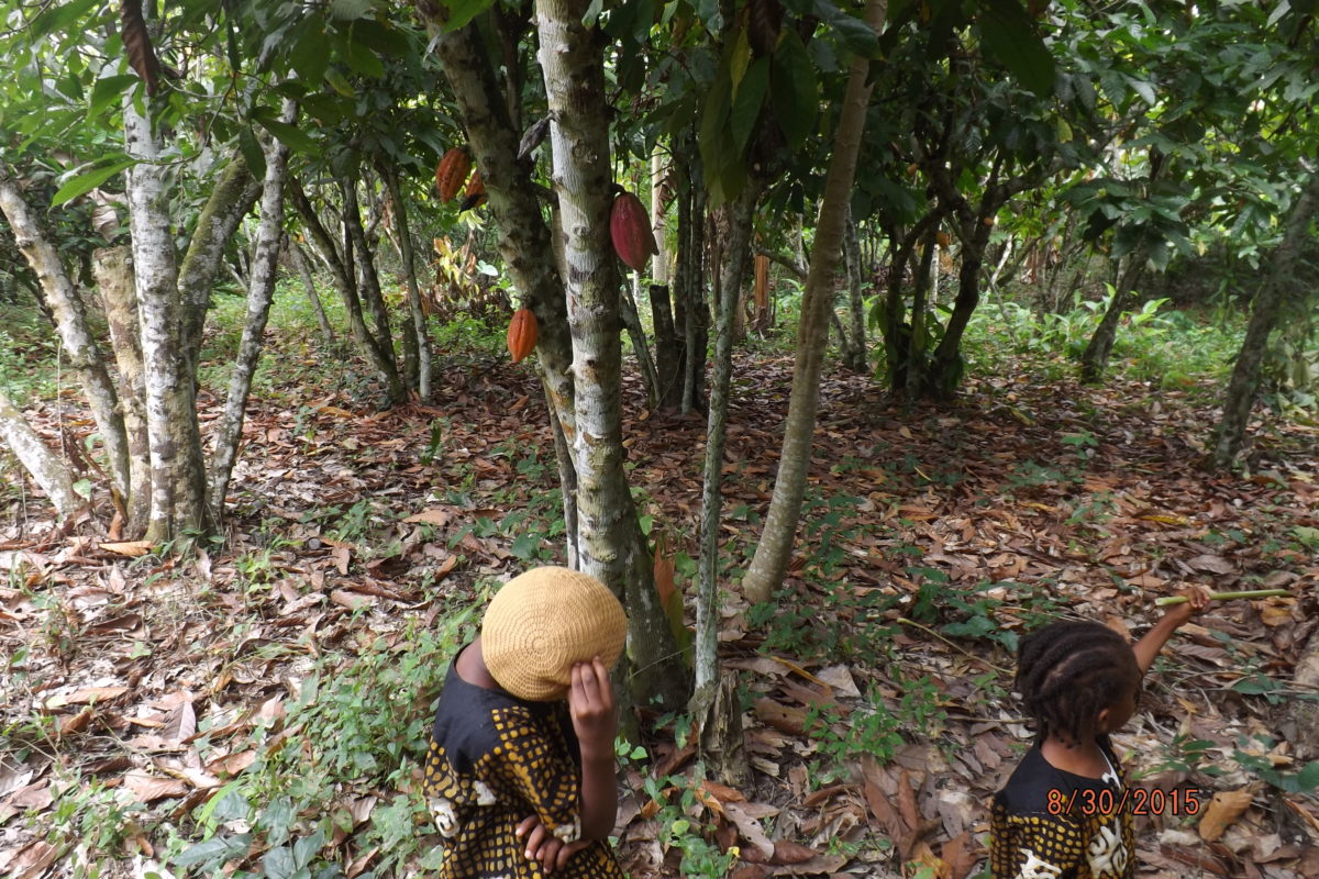 Gallery – The Carter Farms