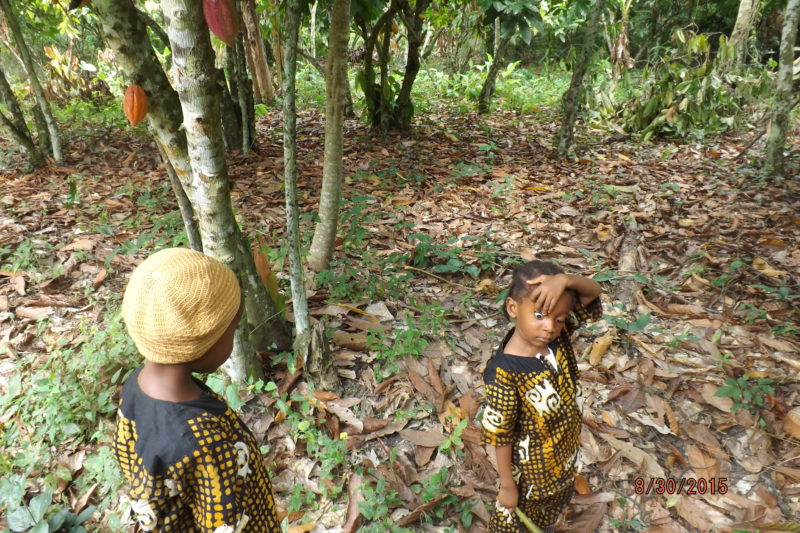 Gallery – The Carter Farms