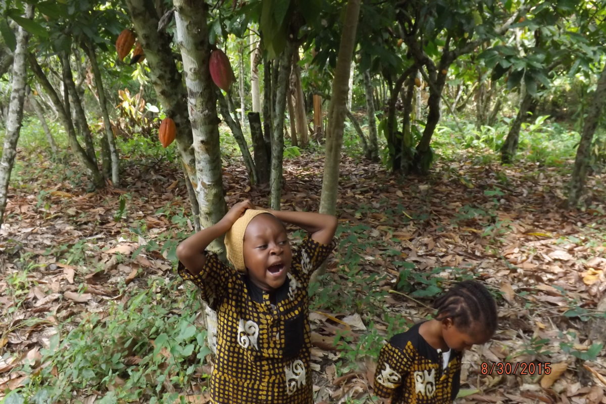 Gallery – The Carter Farms