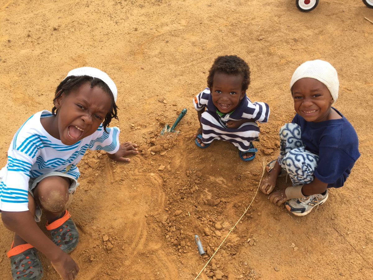 Gallery – The Carter Farms