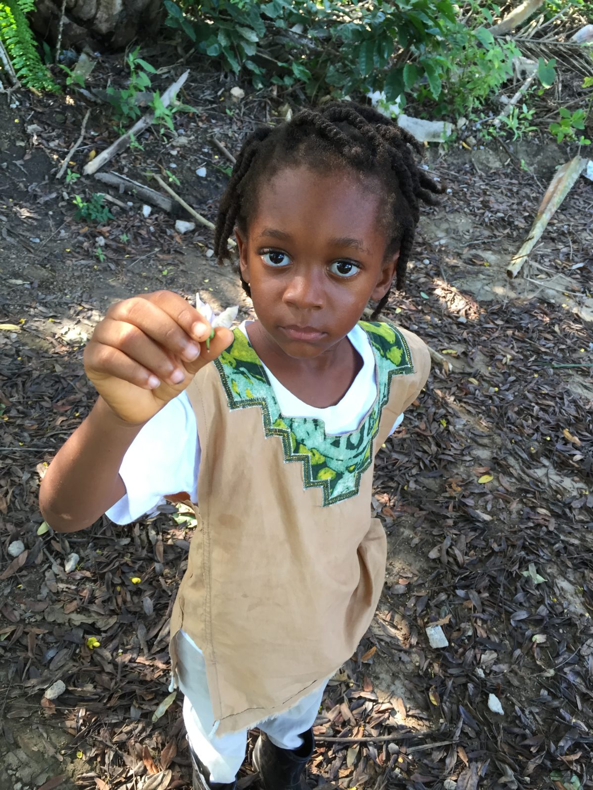 Gallery – The Carter Farms